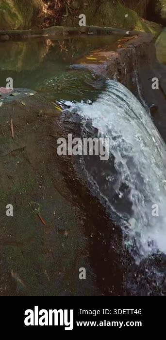 Vertical video. Water Flowing over Rock Edge into Stream in Dense ...