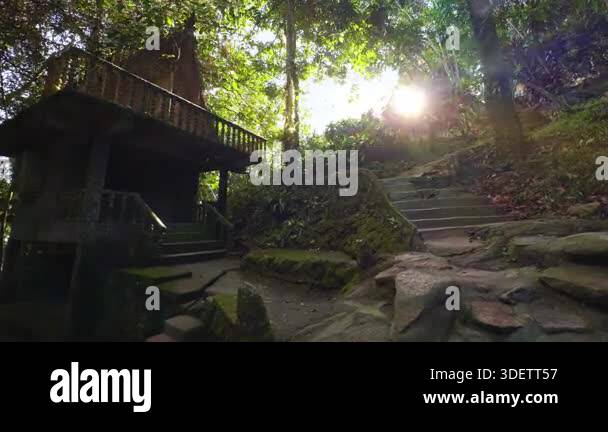Sunlight Piercing through Trees Illuminating Mossy Stairs and a Stone ...