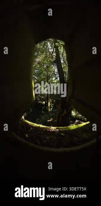 Vertical video. View Through Window of Abandoned House in Tarnim Magic ...