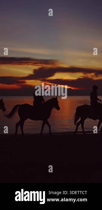 Vertical video. Silhouettes of Horse Riders Moving Along Beach at ...