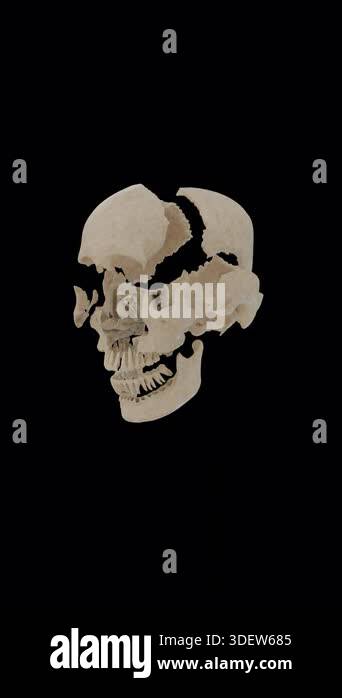 Cranial dissection Stock Videos & Footage - HD and 4K Video Clips - Alamy