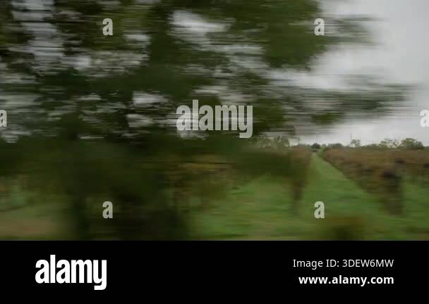 Industrial factory building with smoking chimneys behind Italian ...