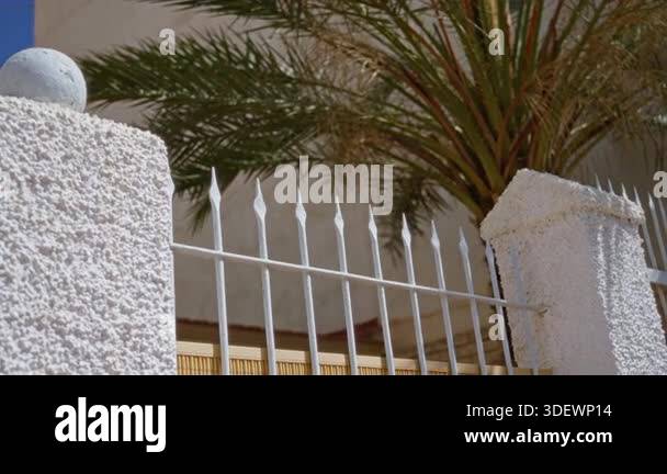 White textured gate and fence with palm tree and blue sky in sunny ...