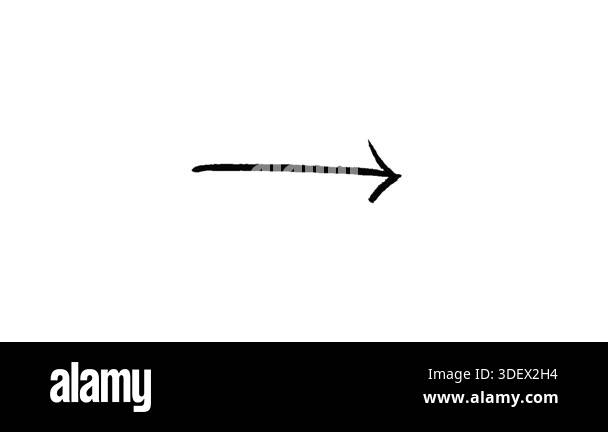 Animated Arrows in Different Styles and Shapes for Direction and ...