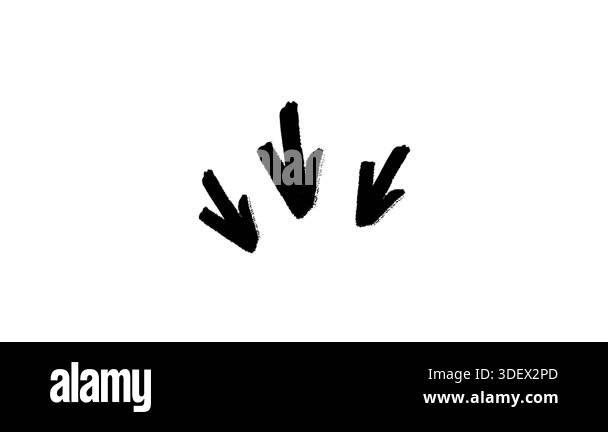 Animated Arrows in Different Styles and Shapes for Direction and ...