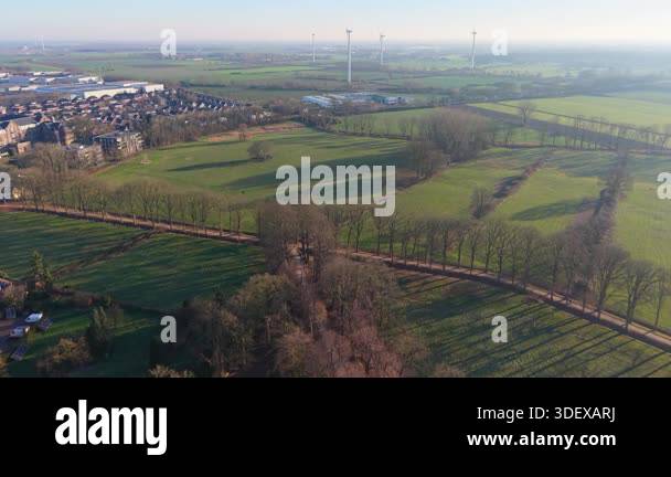 Aerial view of Dutch countryside diagonal tree lined road with long ...
