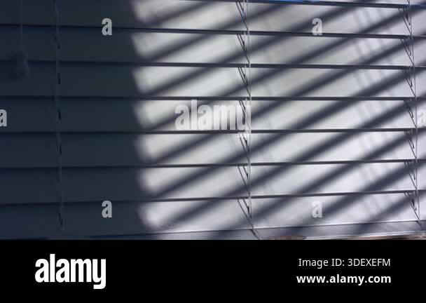 Venetian blinds window slats string in sunlight shadows medium 4k ...