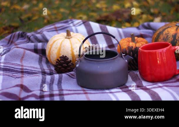 Autumn picnic with kettle pot and pumpkins medium panning zoom shot ...