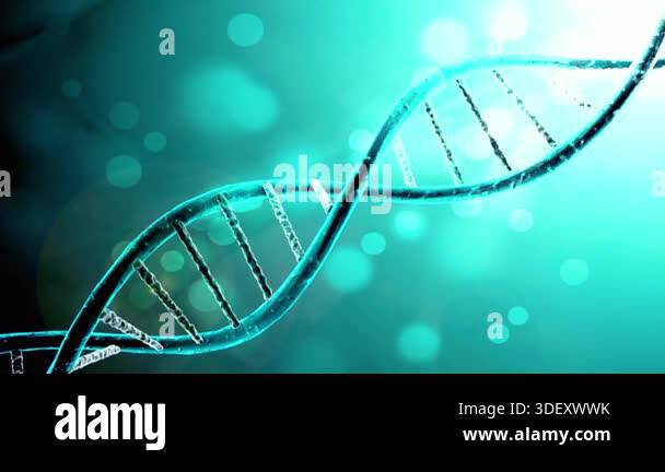 Research genetic double helix Stock Videos & Footage - HD and 4K Video ...