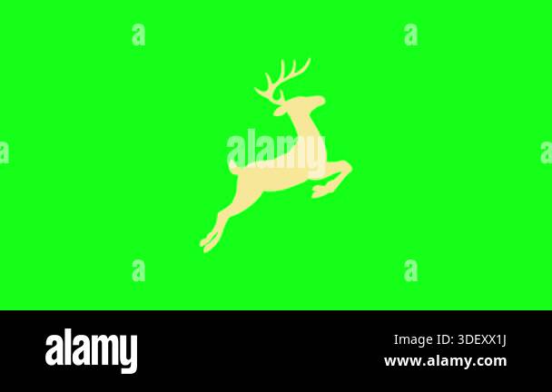 Deer golden gold logo animation with shinny light sweep. looping ...