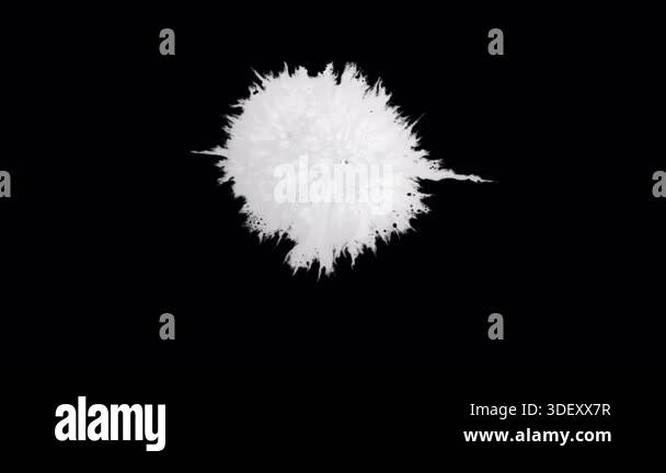 White ink sparkle spread out animation. watercolor ink motion ...