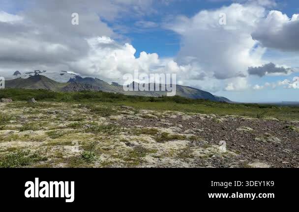 Expansive Green Highland Plain with Distant Snow-Capped Mountains in ...