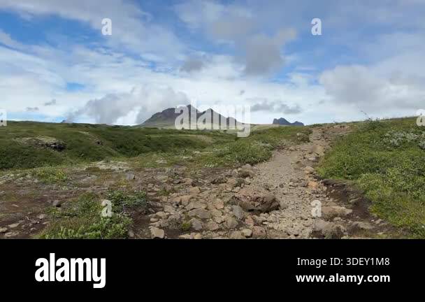 Winding Dirt Path Across Lush Green Plain under Cloudy Sky in Iceland ...