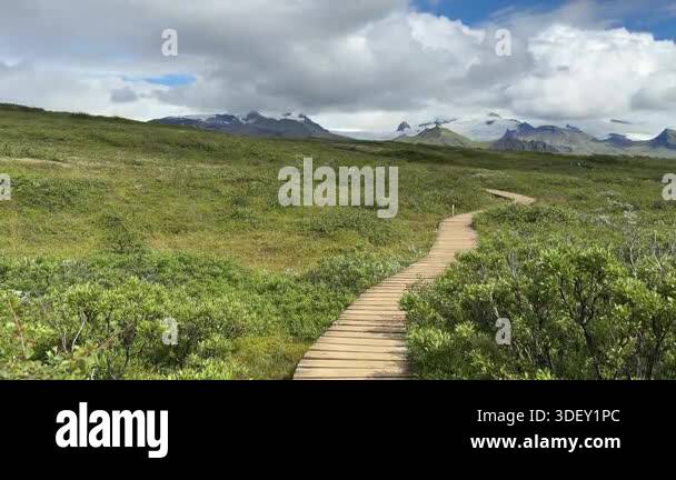 Wooden Boardwalk Trail Leading to Distant Snow-Capped Mountains in ...
