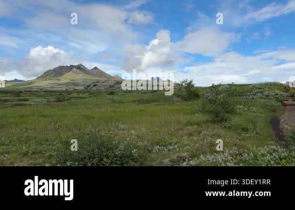 Lush Green Icelandic Meadow with Distant Mountain Range under Blue Sky ...
