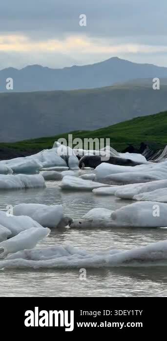 Floating Ice Chunks in Murky Glacier Lagoon with Green Hills in Iceland ...