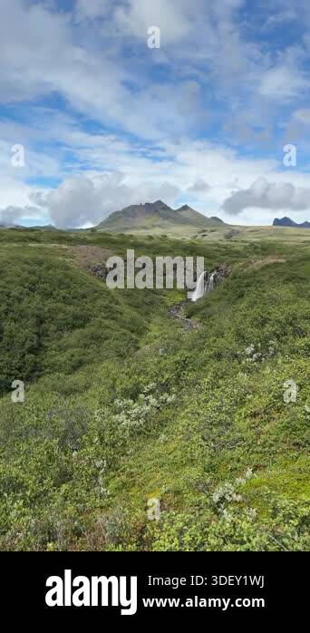 Gentle Stream Waterfall Descending Lush Green Slope in Icelandic ...