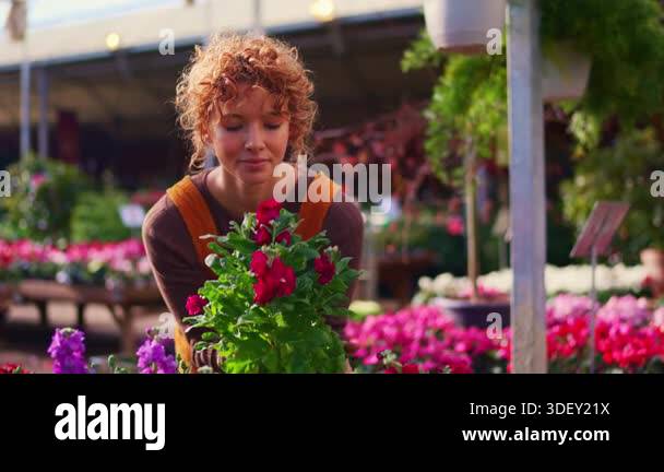 Young gardener with curly red hair smelling red flowers in a pot. Woman ...