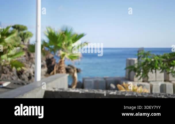 Defocused background of tropical plants with ocean view in lanzarote ...