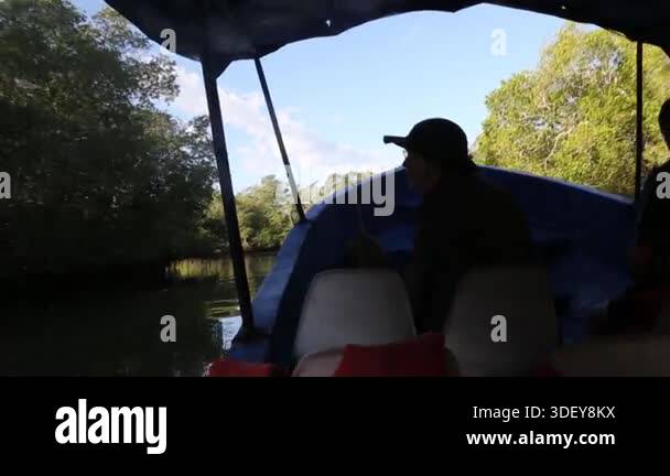 Boat trip in mangrove forest at the coast of the Pacific Ocean near La ...
