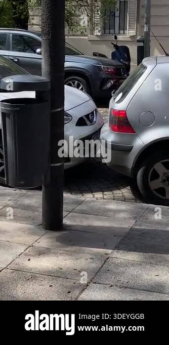 Modern public trash bin on a lamppost against a backdrop of tightly ...