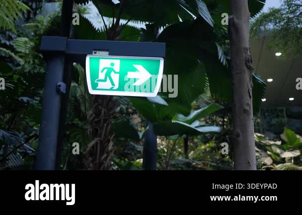 An exit sign shows the direction to leave a green area filled with ...