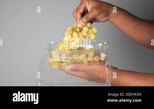 Person picks grapes from a clear plastic container with hands Stock ...