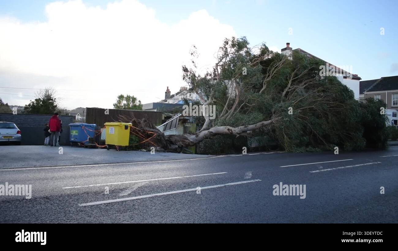 Damage in Cornwall after Storm Goretti Stock Video Footage - Alamy