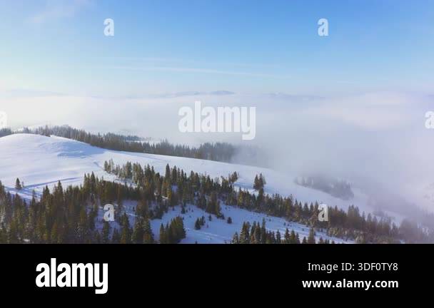Steep mountain slopes covered with lush evergreen trees and snow-white ...