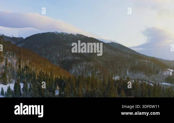 High steep snowy mountain covered with evergreen writing trees on a ...