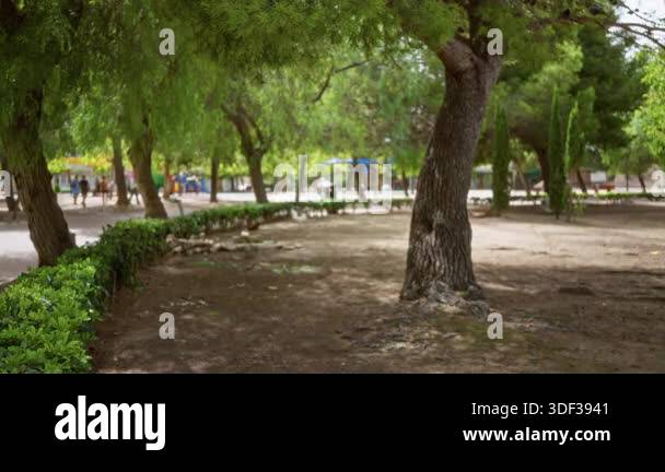 Blurred park bokeh background with shallow focus and leafy trees ...