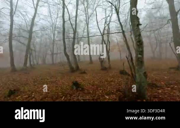 First-person view from an off-road vehicle. Off-road driving on dirt ...