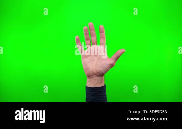 Mans hand show shaka gesture. Male hand rise up and do thumbs up. green ...