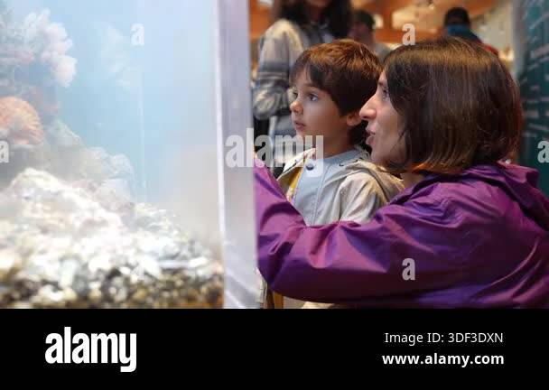 Mother and son bonding while exploring marine life ecosystem, sharing ...