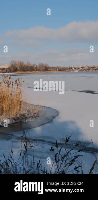Frozen lake landscape with snow-covered ice, reeds, and winter ...