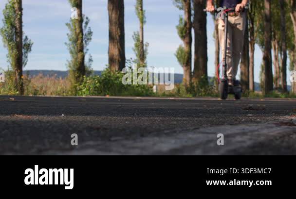A person scoots down an empty path in a park. Tall trees line both ...