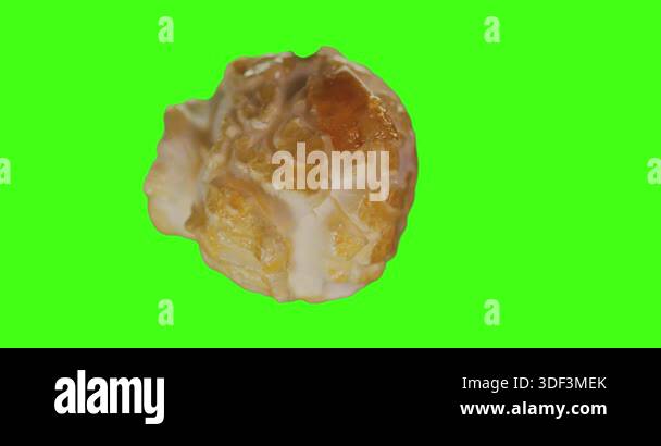 A close look at a popcorn kernel spinning slowly on a bright green ...