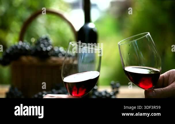 Two glasses of red wine are held up with a basket of grapes in the ...