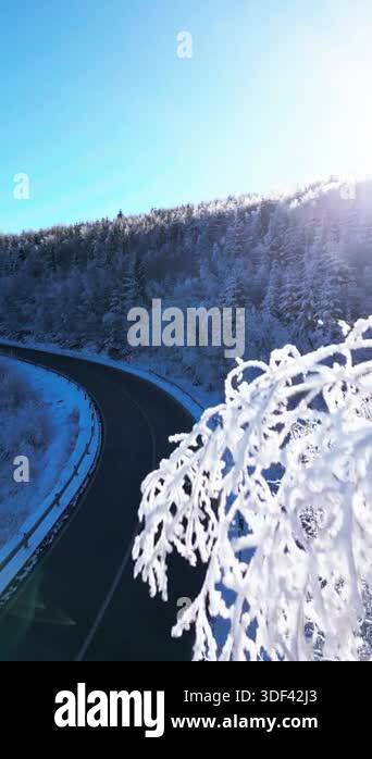 Cinematic winter video showing a snow covered forest frozen and coated ...