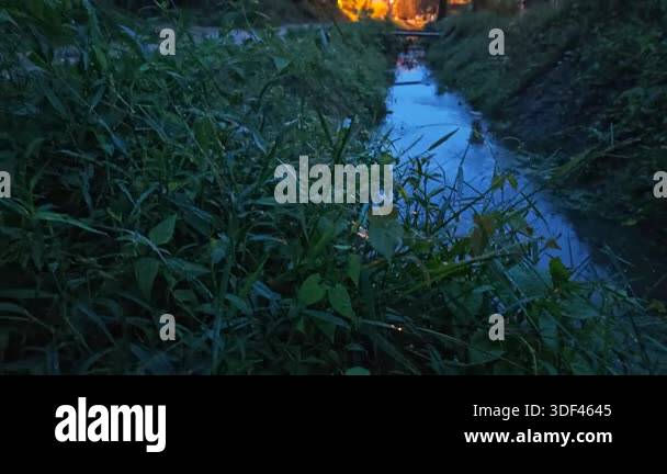 night scene of the isolated dirt pathway with puddle potholes toward ...