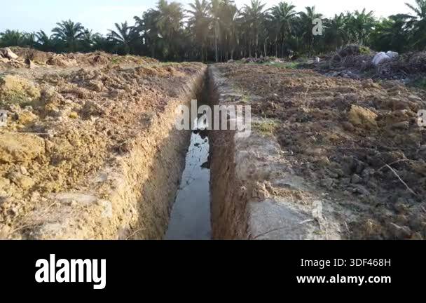 aerial footage of a simple man-made drainage system at the plantation ...