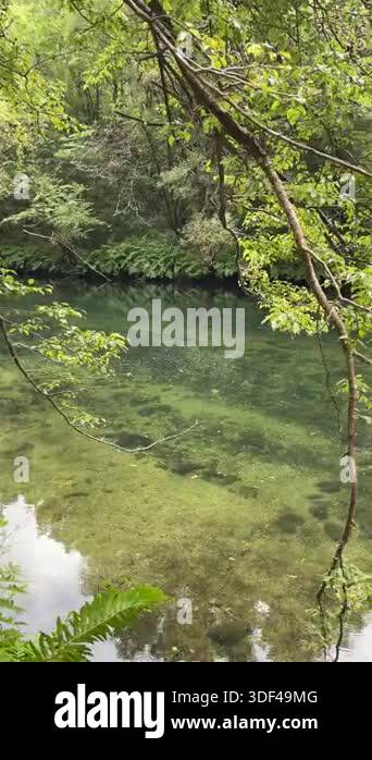 The rushing Eume River as it flows through the Fragas del Eume natural ...