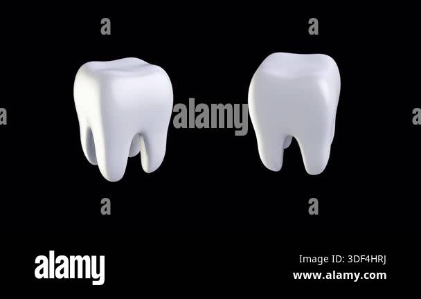 Seamless looping animation of a rotating cartoon tooth. Smooth looping ...