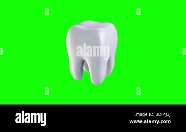 Seamless looping animation of a rotating cartoon tooth. Smooth looping ...