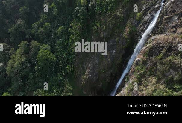Beautiful tropical forest and waterfall in Tibet, China Stock Video ...