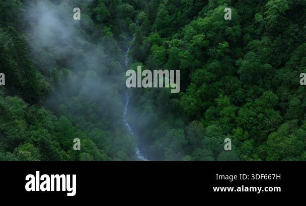 Aerial view of beautiful high altitude mountains with river and forest ...