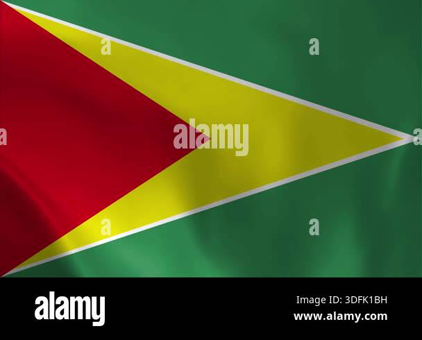 Guyana Flag Waving: Realistic 4K Loop of the National Golden Arrowhead ...