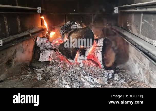 The video captures the continuous burning of logs in a fireplace ...