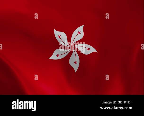 Hong Kong Flag Waving: Realistic 4K Loop of the Bauhinia Blakeana ...