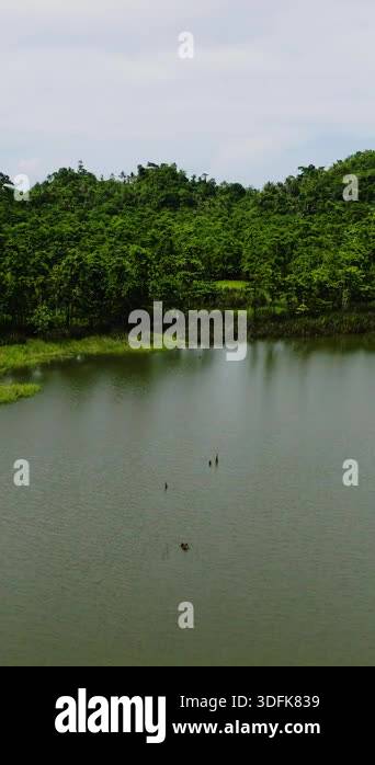 Tropical lake is seen with a backdrop of green mountains and dense ...